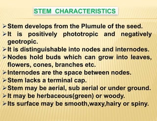 Stem.pptx