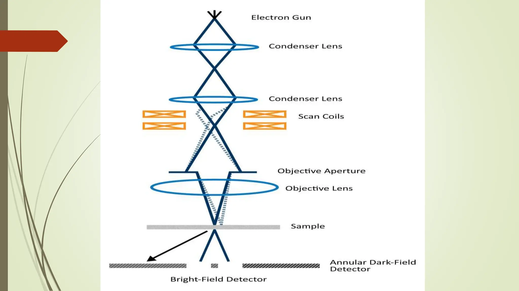 Scanning transmission electron microscopy | PPTX