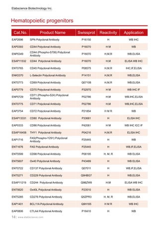Stem Cell Antibodies - Elabscience | PDF | Endocrine and Metabolic Diseases | Diseases and ...