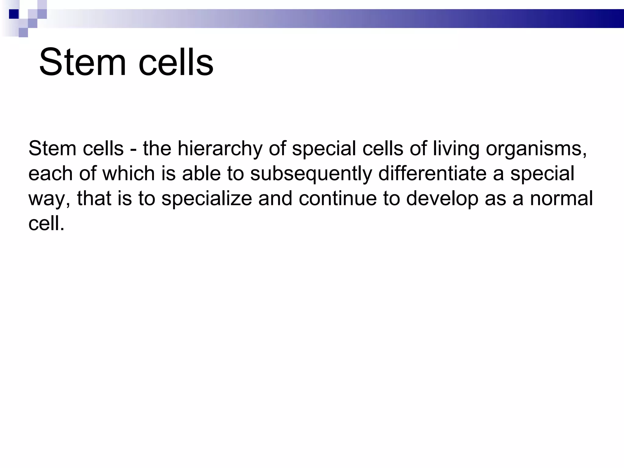 Stem Cell Migration | PPT
