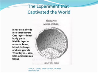Stem Cell Research (HED 100) | PPT