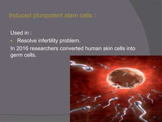 Stem cells | PPT