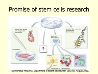 Stem Cells And Potential Clinical Applications | PPT
