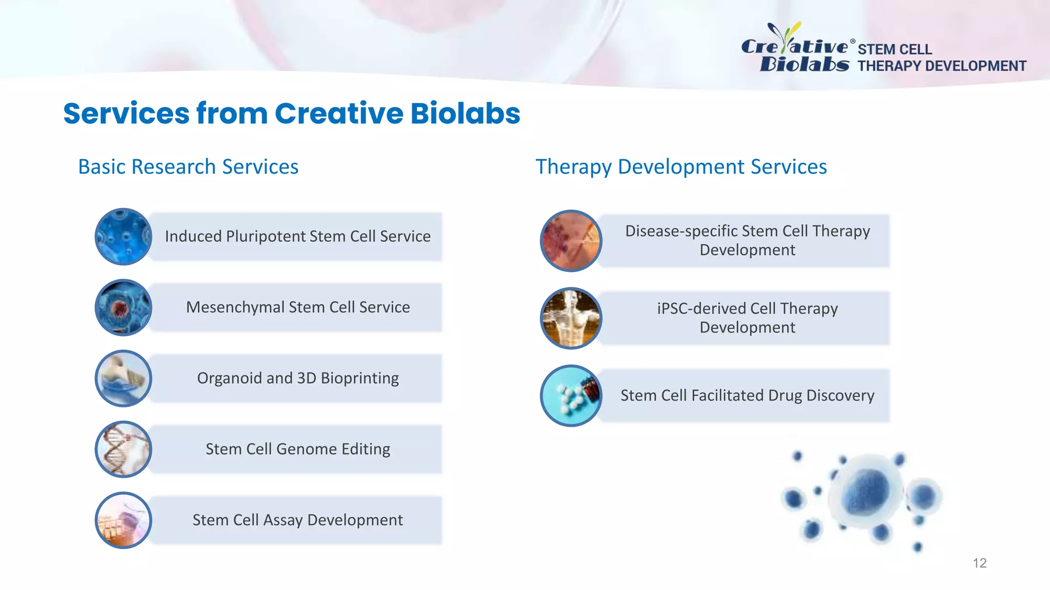 Stem Cells in A New Era of Cell based Therapies - Creative Biolabs | PPTX