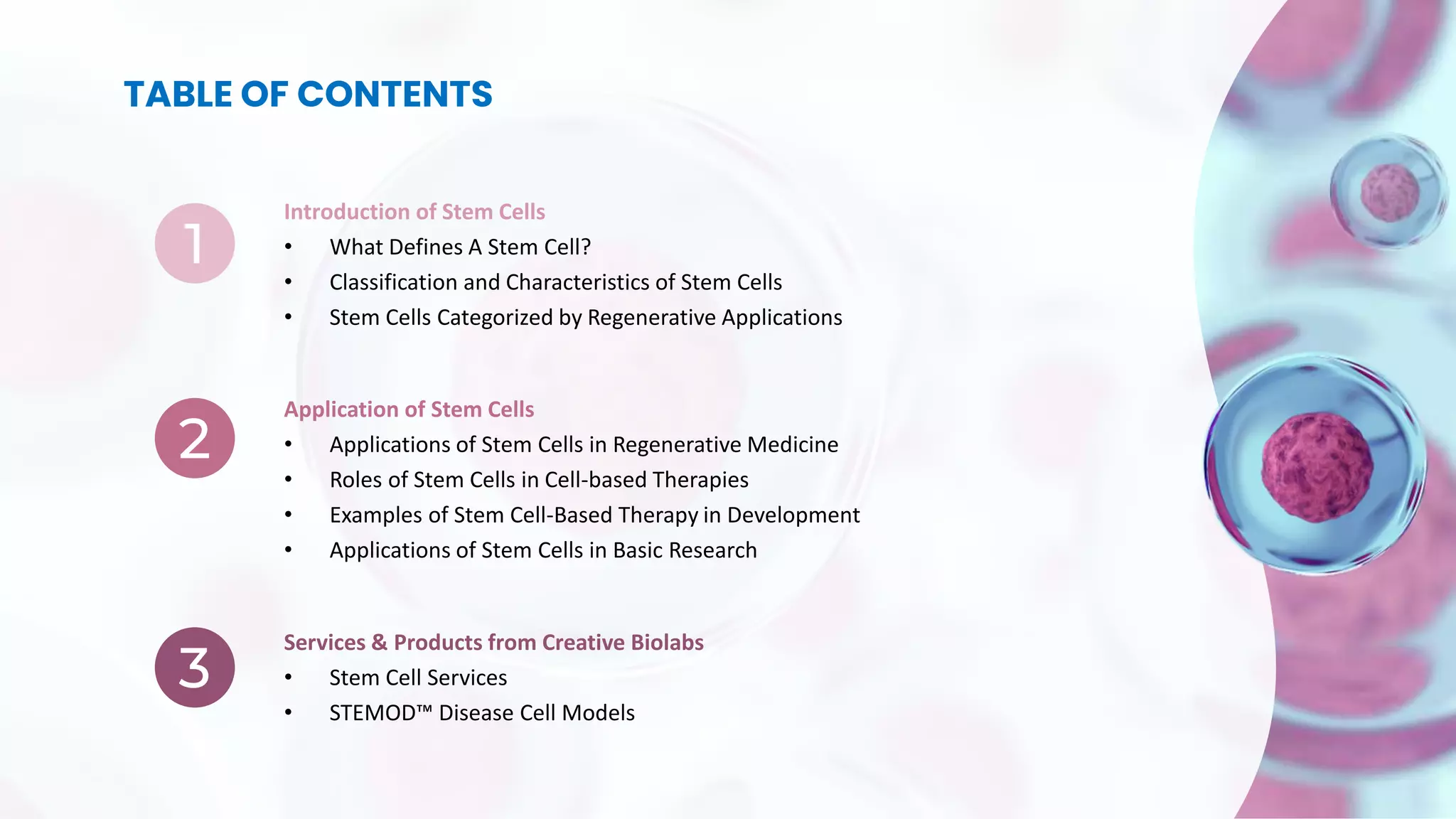Stem Cells in A New Era of Cell based Therapies - Creative Biolabs | PPTX