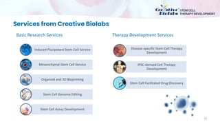 Stem Cells in A New Era of Cell based Therapies - Creative Biolabs | PPTX