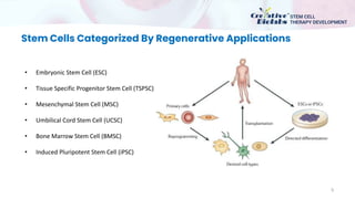 Stem Cells in A New Era of Cell based Therapies - Creative Biolabs | PPTX