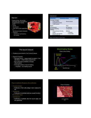 The use of Stem cells in burn care | PDF