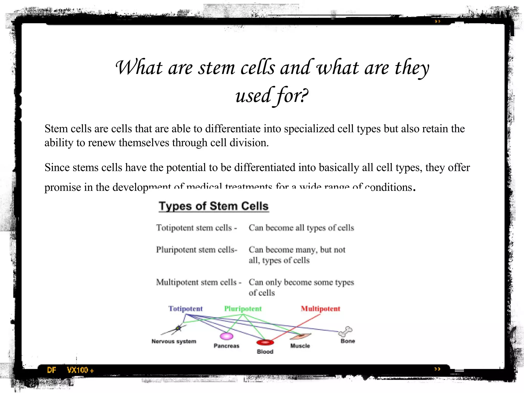 Stem Cells Project | PPT | Pregnancy | Reproductive Health