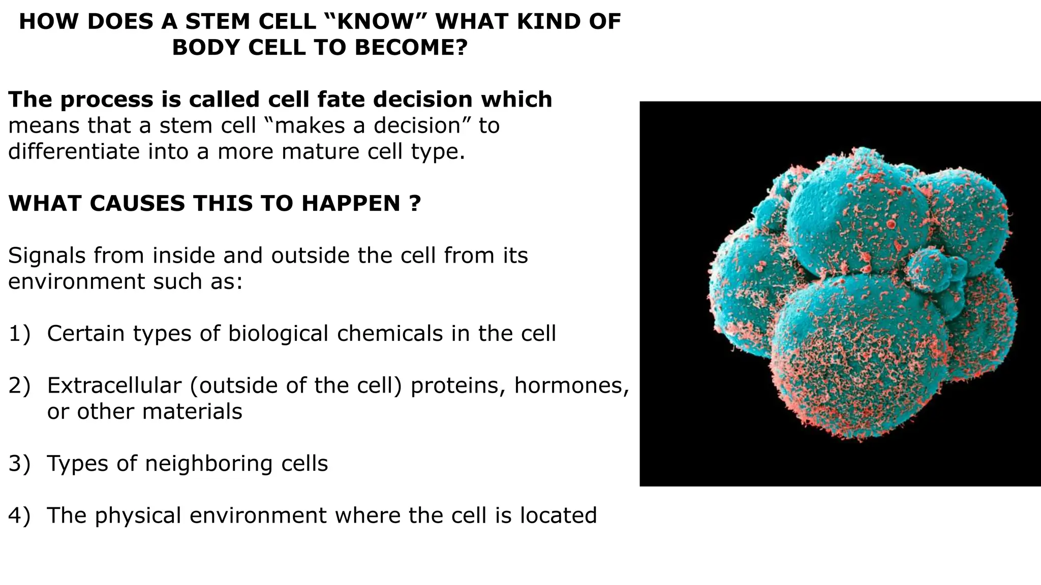 Good stem-cells-regenerative-medicine.pdf