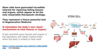Good stem-cells-regenerative-medicine.pdf