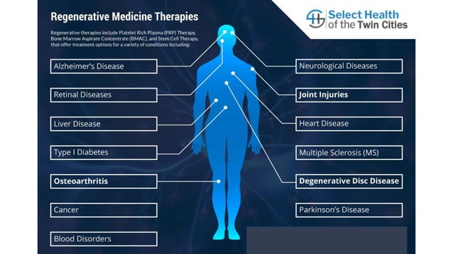 Good stem-cells-regenerative-medicine.pdf