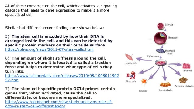 Good stem-cells-regenerative-medicine.pdf