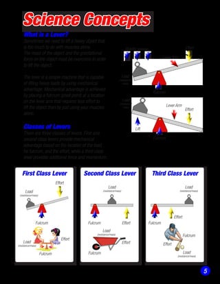 Stem Education - Levers | PDF | Physics | Science