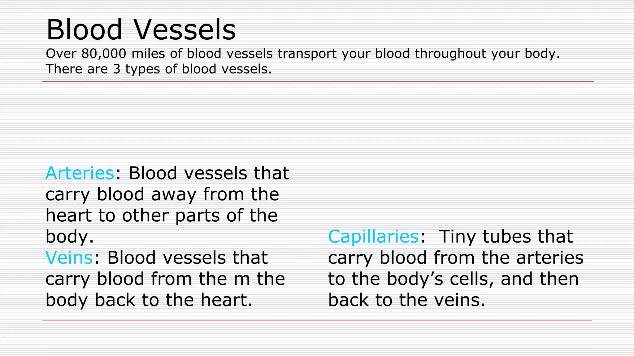 Stem12 circulatory system | PPTX