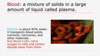 Stem12 circulatory system | PPTX
