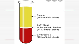 Stem12 circulatory system | PPTX
