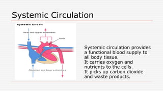 Stem12 circulatory system | PPTX