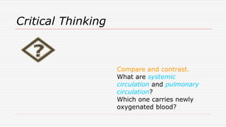 Stem12 circulatory system | PPTX