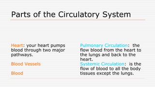 Stem12 circulatory system | PPTX