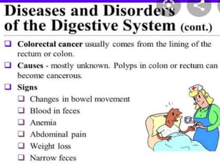 Stem 12 digestive system | PPTX
