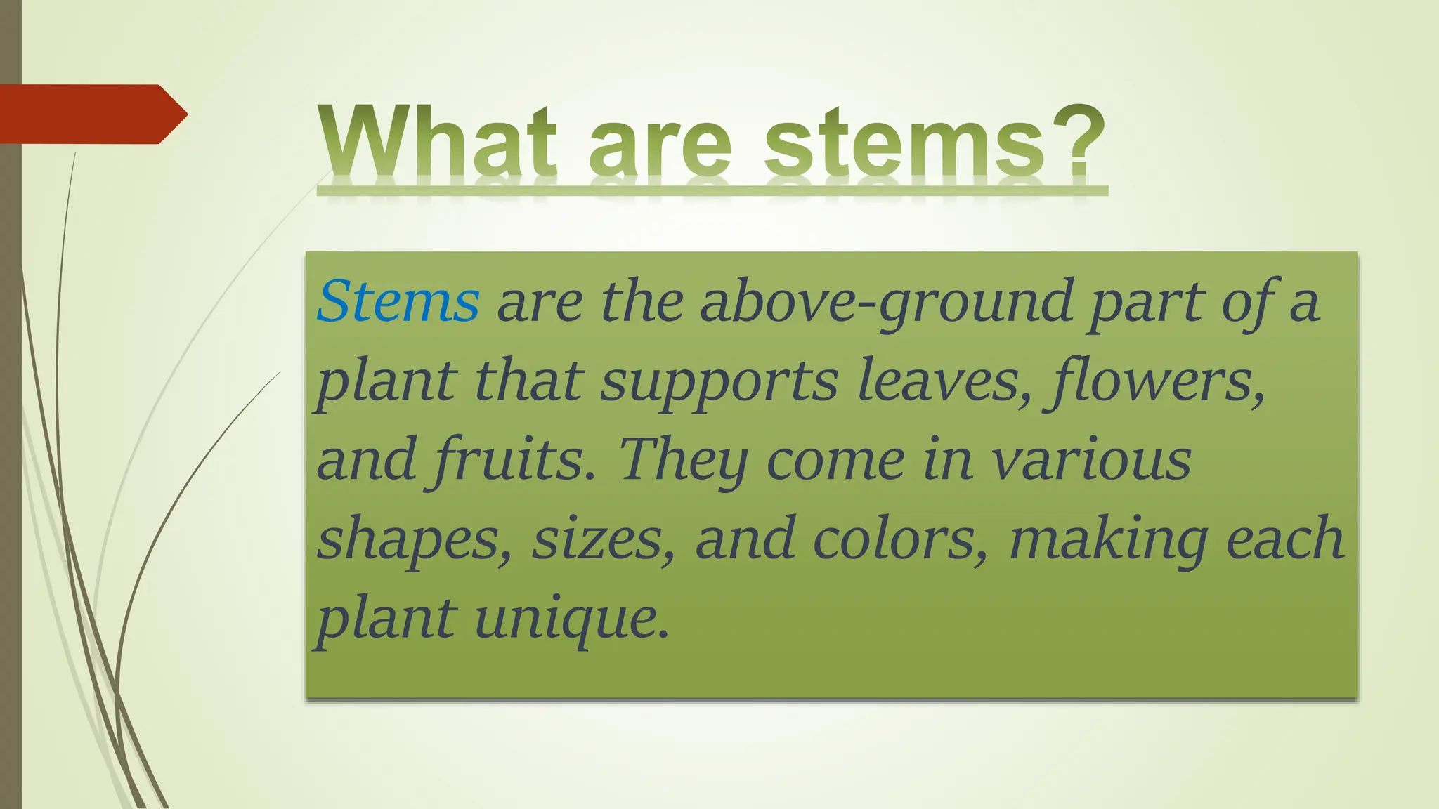Stem and its types.pptx stem of plantsnt | PPTX