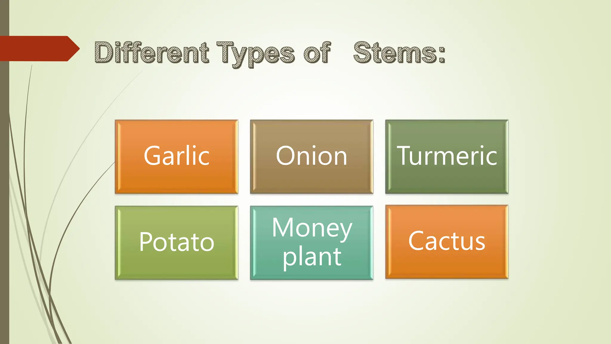 Stem and its types.pptx stem of plantsnt | PPT