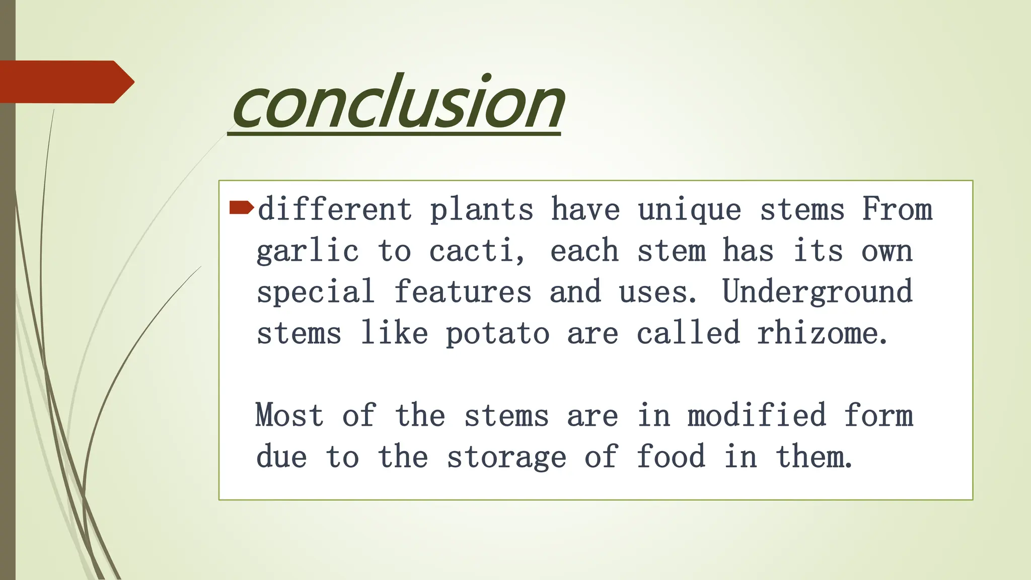Stem and its types.pptx stem of plantsnt | PPTX