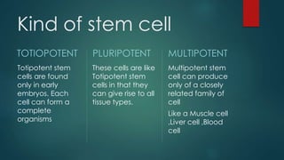 Stem cell | PPTX