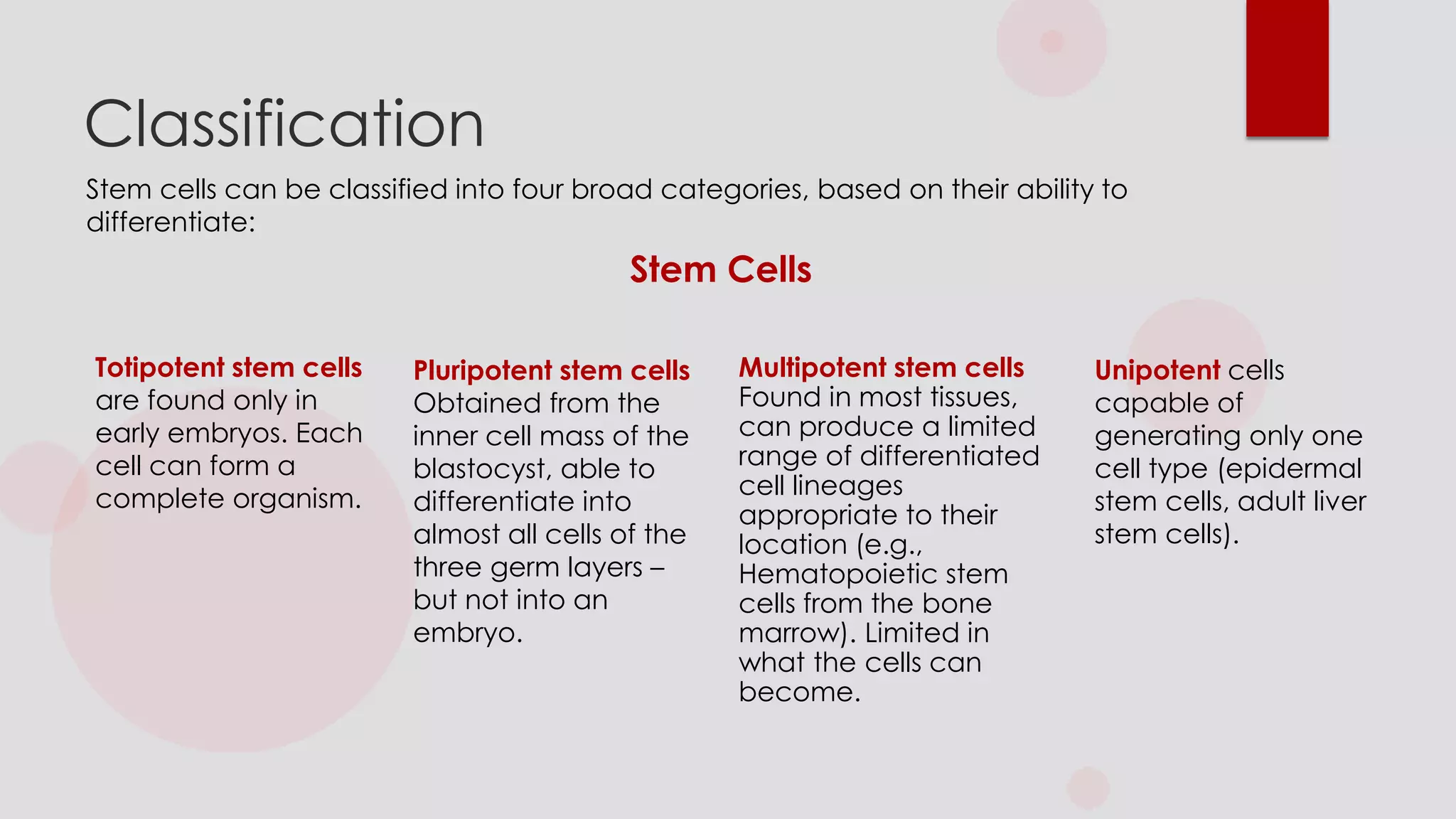 Monophyletic theory of hematopoiesis. Stem cells. | PPTX