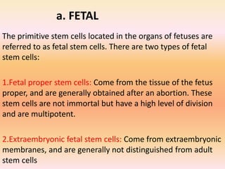 Stem Cell | PPTX