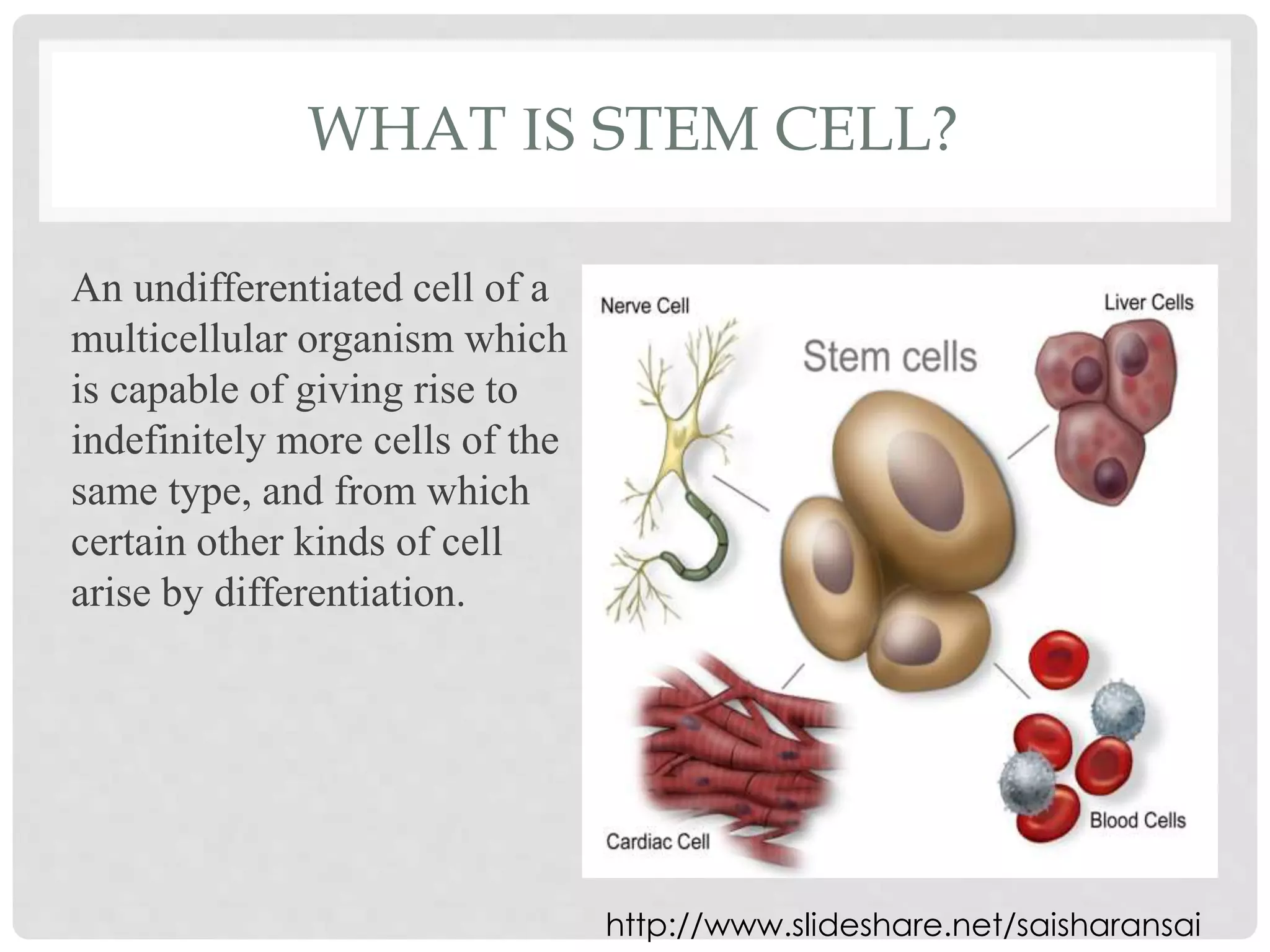 Stem Cell | PPTX