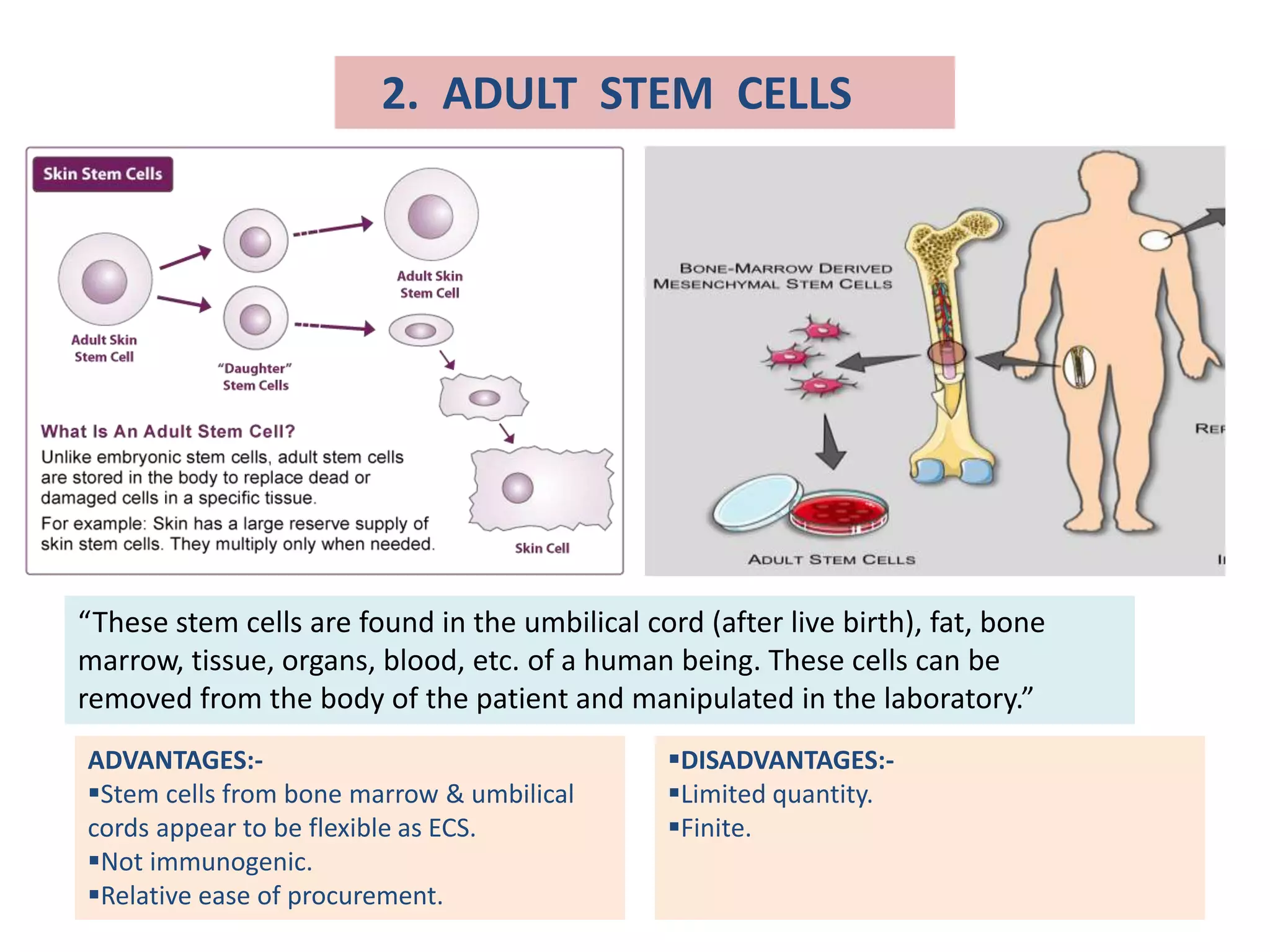 Stem cell Research | PPTX