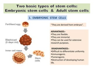 Stem cell Research | PPTX