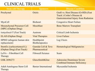 CURRENT STATUS OF STEM CELL THERAPY | PPTX | Brain and Nervous System ...