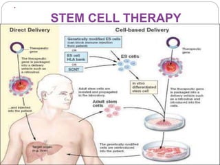 Stem cell therapy | PPTX