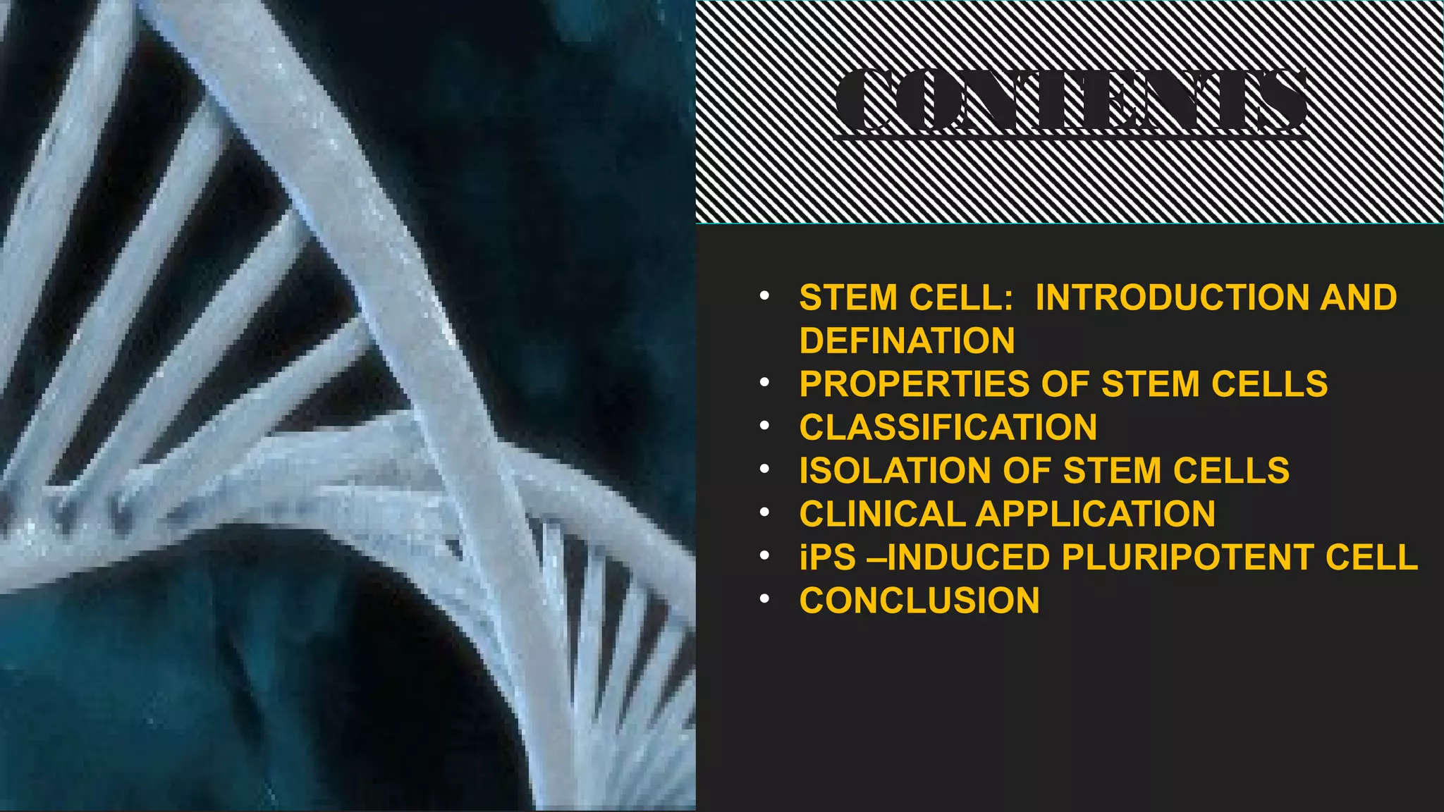 Stem cell | PPT