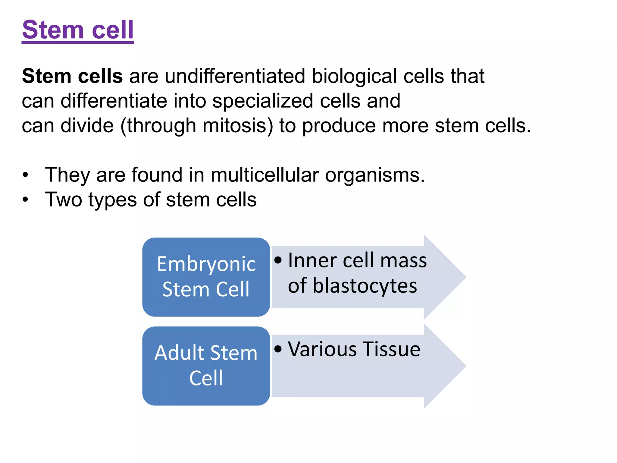 Introduction to Stem cell | PPTX