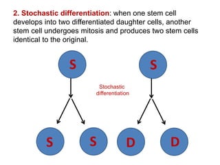 Introduction to Stem cell | PPTX