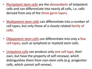 Introduction to Stem cell | PPTX