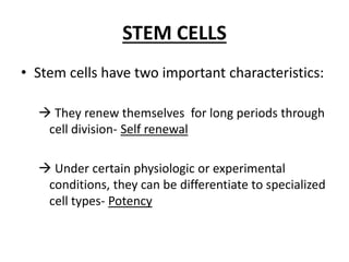 Stem cell | PPTX
