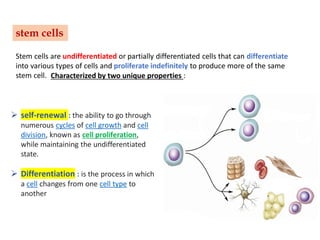 Stem cell. | PDF