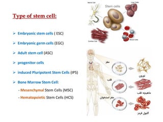 Stem cell. | PDF