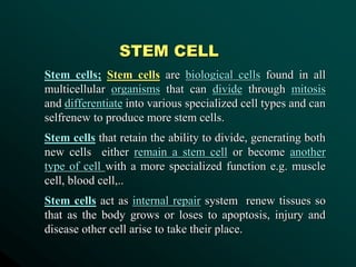 STEM CELLS.ppt