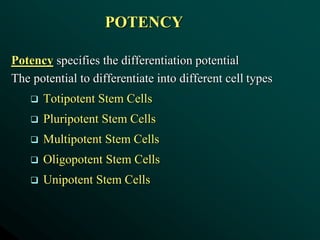 STEM CELLS.ppt