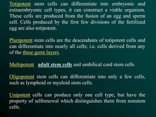 STEM CELLS.ppt