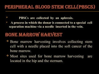 STEM CELL / BONE MARROW TYPES PROCESS TRANSPLANTATION AND TREATMENT | PPTX