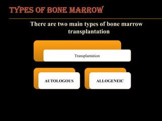 STEM CELL / BONE MARROW TYPES PROCESS TRANSPLANTATION AND TREATMENT | PPTX