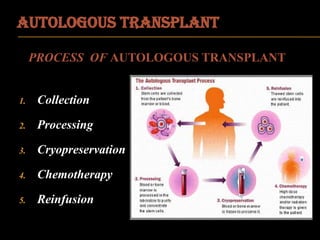 STEM CELL / BONE MARROW TYPES PROCESS TRANSPLANTATION AND TREATMENT | PPTX