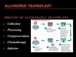 STEM CELL / BONE MARROW TYPES PROCESS TRANSPLANTATION AND TREATMENT | PPTX